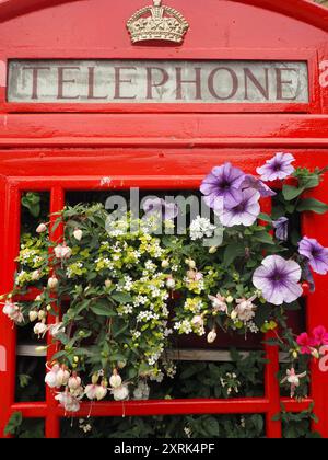 Re-purposed telephone kiosk with display of Summer flowers, Bath ...