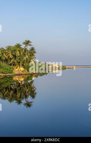 Beautiful shot of some trees reflecting in the lake Stock Photo - Alamy