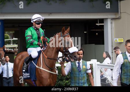 The Great Britain and Ireland team's Charlie Forster putts on the 15th ...