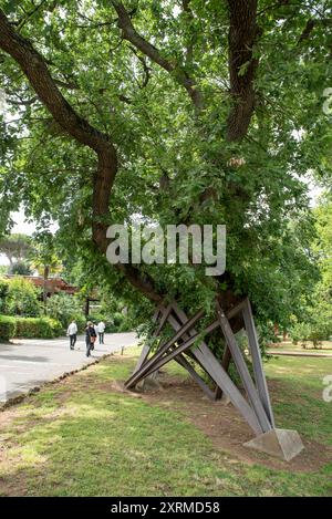 A centuries-old oak tree supported by sturdy steel structure Stock ...