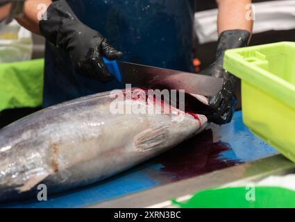 fishmonger preparing a tuna to display for sale Stock Photo - Alamy