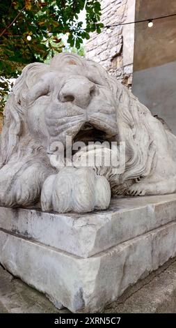 The sleeping lion sculpture in Lviv, Ukraine Stock Photo - Alamy