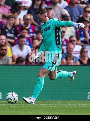 Goalkeeper Dean Henderson (1 Crystal Palace) in action during the ...