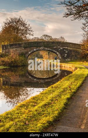 Lancaster Canal near Carnforth Lancashire with towpath and very flowery ...