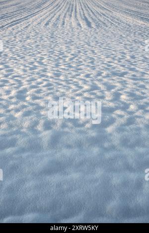A large farmer's field covered in snow with gentle ridges outlining the ...