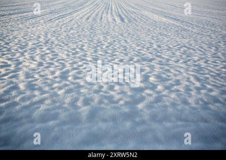 A large farmer's field covered in snow with gentle ridges outlining the ...