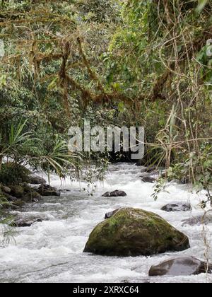 Rio Mindo, Mindo Valley, Ecuador, South America Stock Photo - Alamy