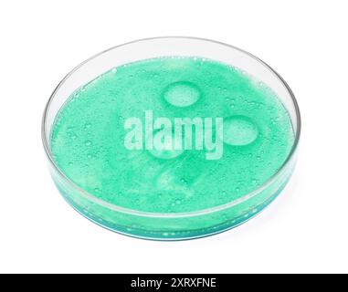 Petri dish with sample isolated on white Stock Photo - Alamy