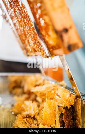 Viscouse Bee Honey Dripping and Flowing Into a Pool of Honey Freshly ...