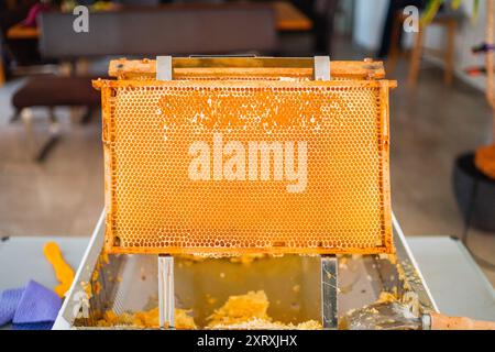 Beehive Frame with Honeycombs Placed on a Decapping Tray Frontal View ...
