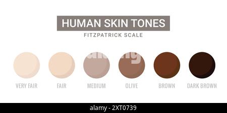 Skin tone color scale chart. Brown palette vector human skin ...