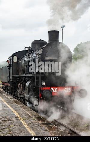 Treno Storico, Historic train and steam locomotive with restored carriages from the 1930s, takes ...