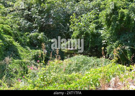 Surplus water released into the Las river by the dam spillway of le ...