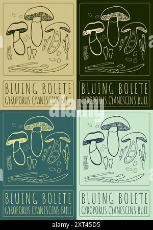 Vector drawing BLUING BOLETE. Hand drawn illustration. Latin name is ...