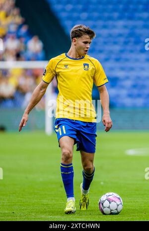 Brondby, Denmark. 11th, August 2024. Football fans of Broendby IF seen ...