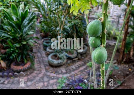 Panama City, Casca Viejo (Old Town Stock Photo - Alamy