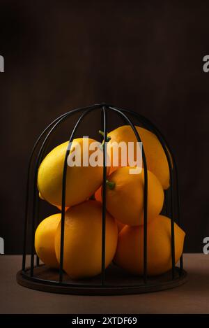 Lemon Cage Still Life Stock Photo - Alamy