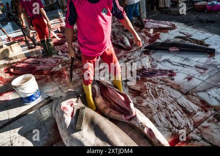 Tanjung Luar Fish market, Luar Cape, Lombok, Indonesia, Asia Stock ...