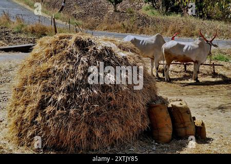 Beautiful small village near Pune, Maharashtra, India Stock Photo - Alamy
