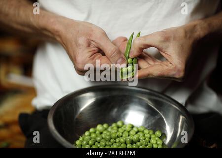 man peeling peas into a bowl Stock Photo - Alamy
