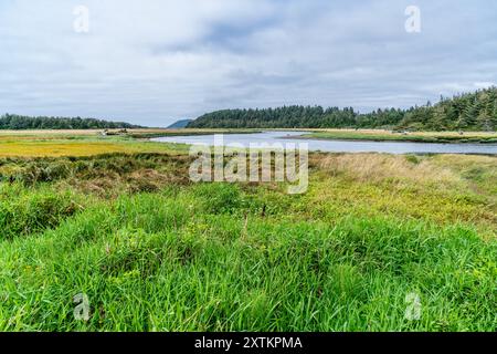 A landscape view of the Copalis River in Washington State Stock Photo ...