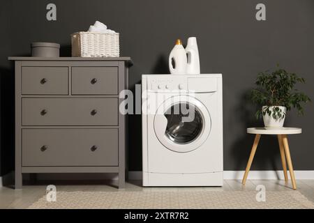 Washing machine, detergents, chest of drawers and houseplant on table ...