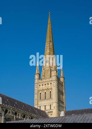 Norwich cathedral Spire Stock Photo - Alamy