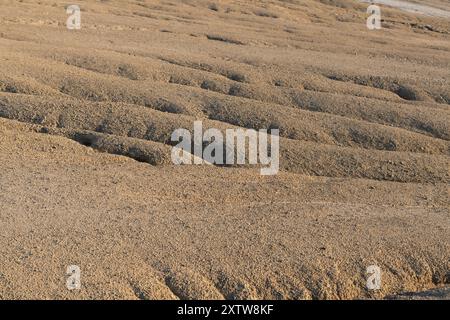 Arid landscape with mud rivers formations in Romania. This is a unique ...