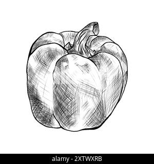 Pepper stamp. Outline vector illustration, eps 10 Stock Vector Image ...