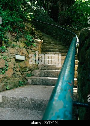 A winding stone pathway leads through lush grass and dry foliage Stock ...