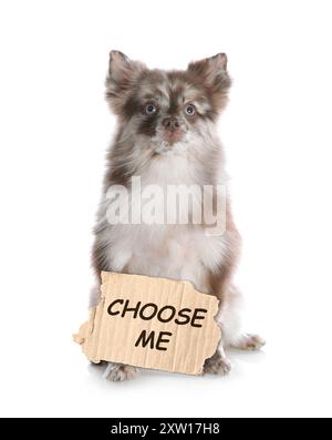 Cute fluffy dog with sign Adopt Me on white background. Pet adoption ...