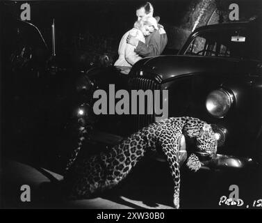 CAT GIRL, Barbara Shelley, Kay Callard, 1957 Stock Photo - Alamy