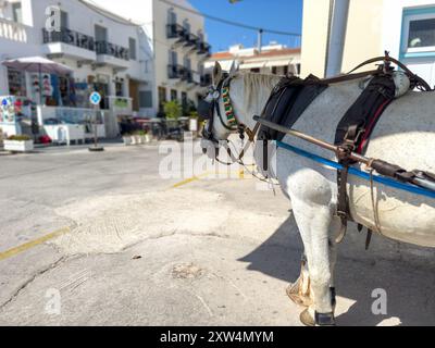 Spetses island, Greece. Horse carriage rear view and promenade at old ...