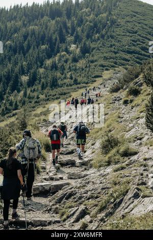 People with backpacks going on a hike through the forest in autumn ...