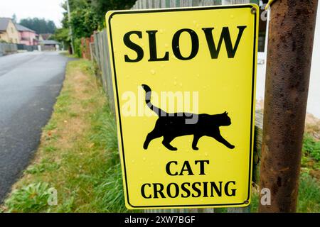 Slow cat crossing sign Stock Photo - Alamy