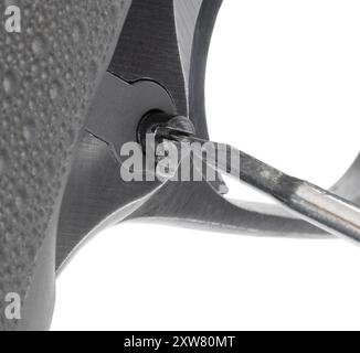 Magazine spring catch on a semi-auto pistol being turned to remove and ...
