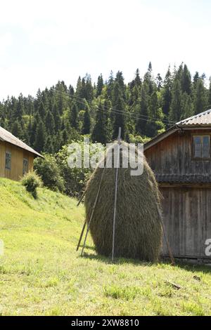 Pile of hay near barn on farmland Stock Photo - Alamy