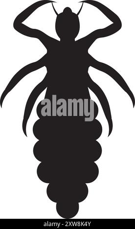 head lice or Pediculus humanus capitis. Black and white vector ...