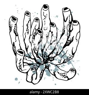 Coral sponge polyp splash Marine life, sea ocean underwater creatures ...