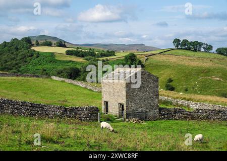 A typical Yorkshire Dales field barn near Bainbridge, Wensleydale ...