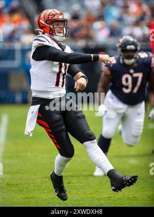 Cincinnati Bengals' quarterback Logan Woodside throws a pass during NFL ...