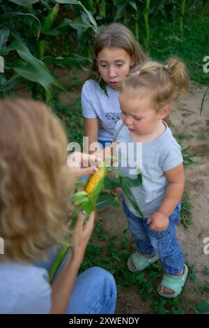 a mother with toddler and teenager eating raw corn in green corn field ...