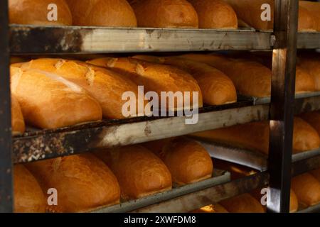 A view of several grinder rolls on a large bread rack Stock Photo - Alamy