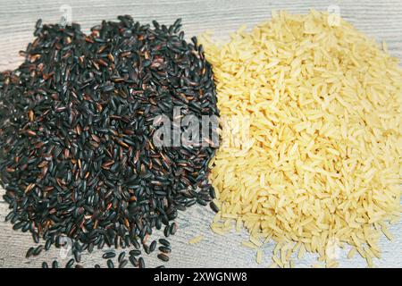 common rice (Oryza sativa), different types of rice Stock Photo - Alamy