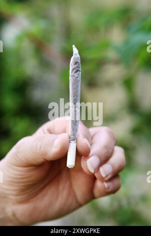 Marijuana. Drug user smokes a marijuana cigarette (called a joint or ...