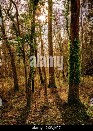 (Itchen Valley Country Park, Hampshire, England Stock Photo - Alamy