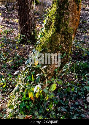 Itchen Valley Country Park, Hampshire, England Stock Photo - Alamy