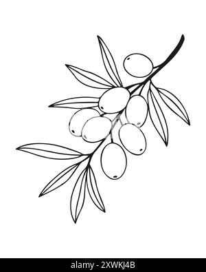 Medical vitamin fruits icon. Outline medical vitamin fruits vector icon ...