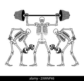 Skeleton and dumbbell. Skeletons and barbell and kettlebell. Skull and ...