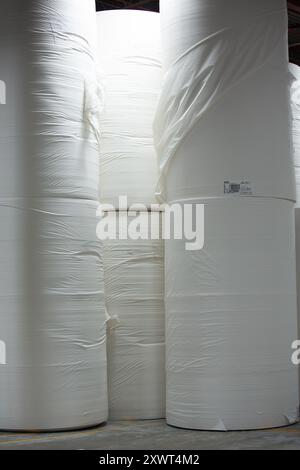 Large rolls of tissue paper stacked in an organized manner in a ...